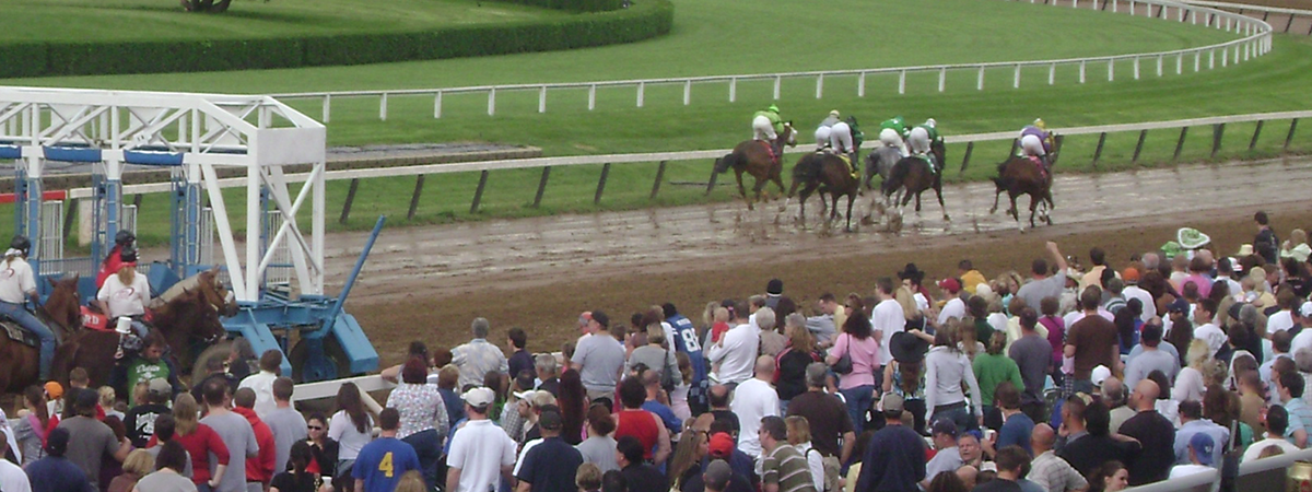 River Downs review and player feedback